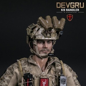 Boxed Figure: DamToys DEVGRU K9-Handler in Afghanistan DAM 78040 D ...